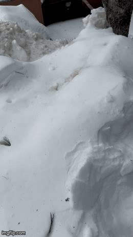 What kids do in snow: snow angels. What I do: - Imgflip