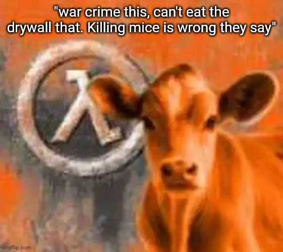 Calf-Life 1 - Imgflip