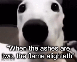 ashes of ariandel moment - Imgflip