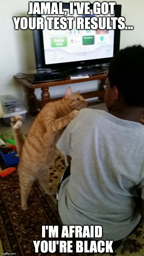 Jamal, I've got your test results... - Imgflip