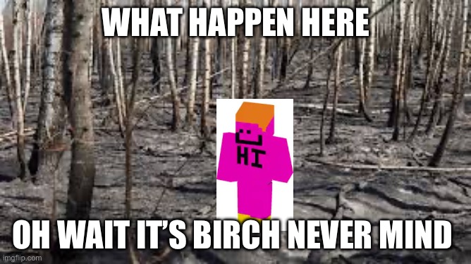 Camman hating birch wood - Imgflip