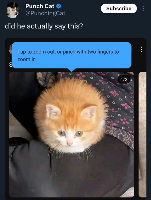 such a controversial statement - Imgflip