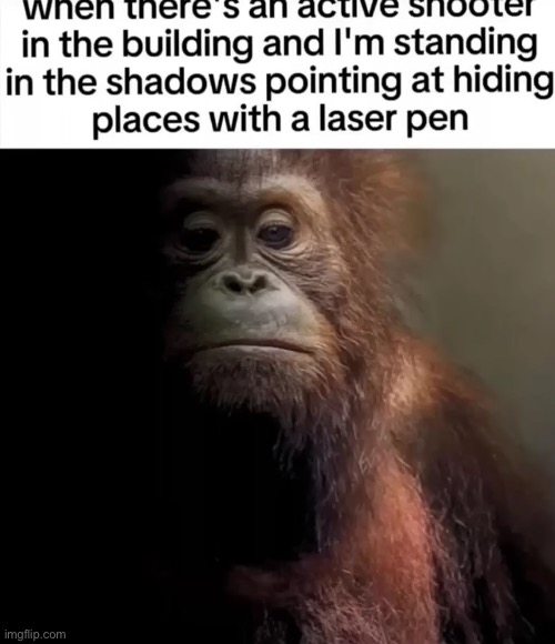 Laser pointer - Imgflip