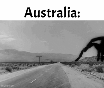 Australia - Imgflip