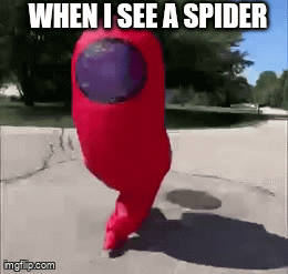 When I see a spider - Imgflip