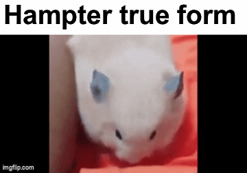 Hampter true form - Imgflip