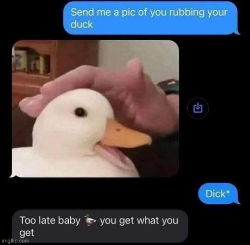 Stroking the duck - Imgflip