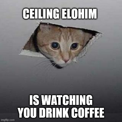 Ceiling Cat Meme - Imgflip