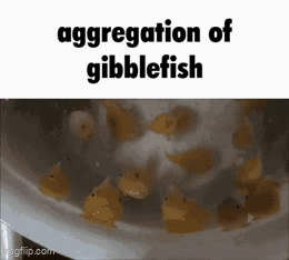 we glagglepostin today boys - Imgflip