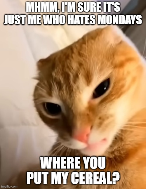 Bombastic side eye - Imgflip