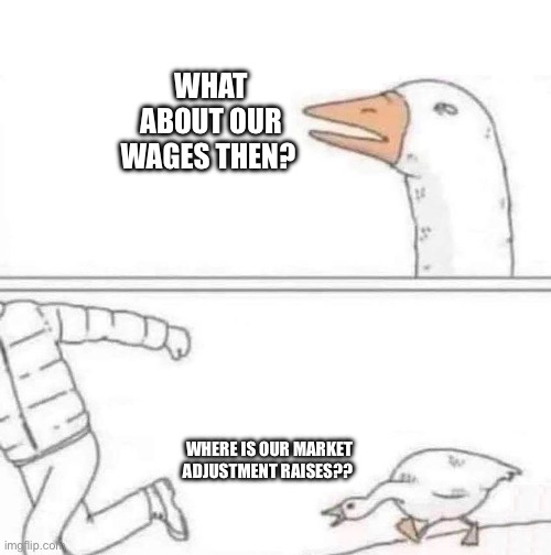 Goose Chase - Imgflip