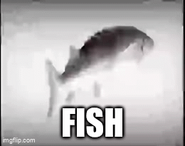 fish - Imgflip