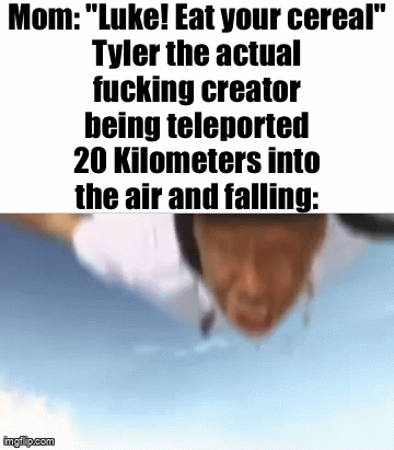 Tyler the creator falling - Imgflip