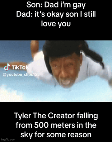 tyler the creater fallingposting - Imgflip