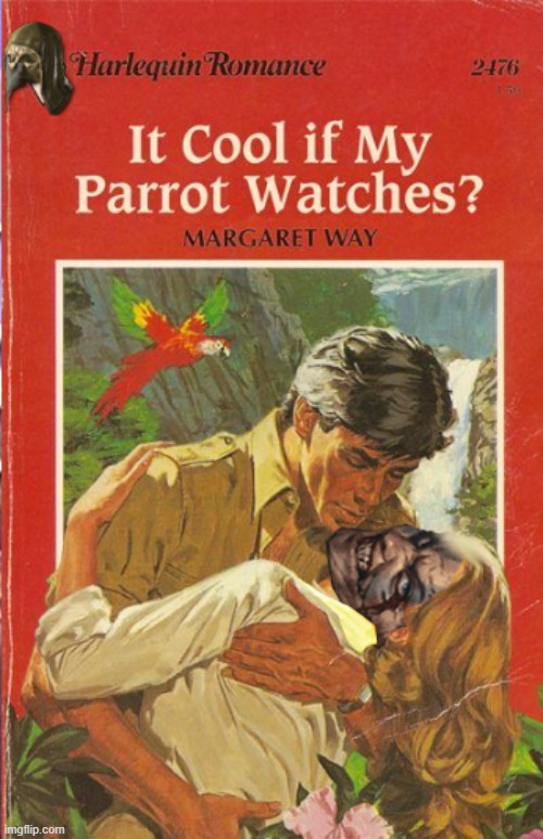 When you kill the Butcher and you have a mercenary out - PC General ...