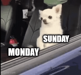 monday - Imgflip