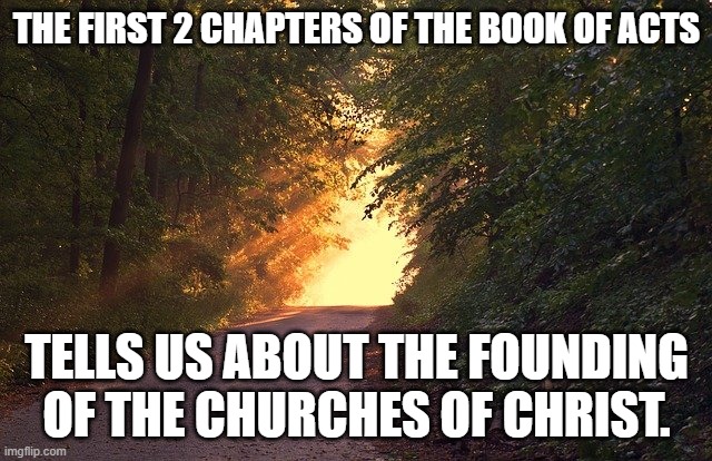 Sunlit forest path - Imgflip