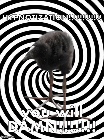 hypnosis - Imgflip