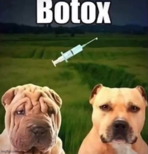 Botox - Imgflip