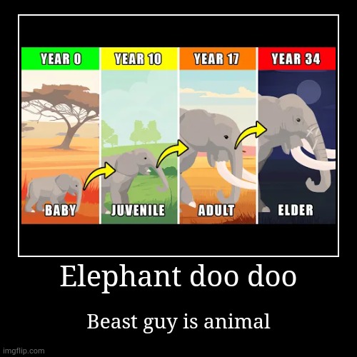 Elephant doo doo - Imgflip