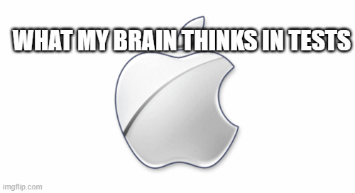 what my brain thinks about the questions in test - Imgflip