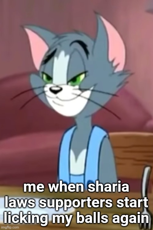 Pleased Tom - Imgflip