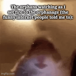 Hamster Watching - Imgflip