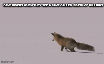cave diver meme - Imgflip