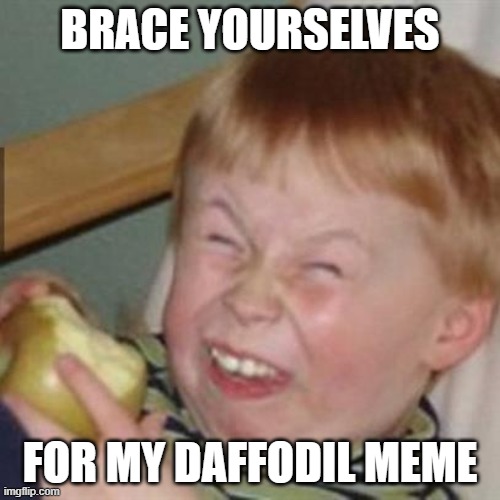 laughing kid - Imgflip