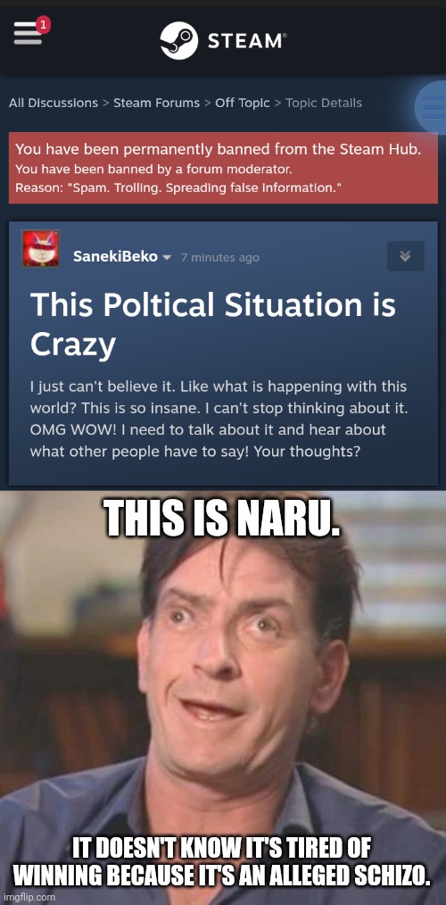 Image tagged in charlie sheen derp - Imgflip