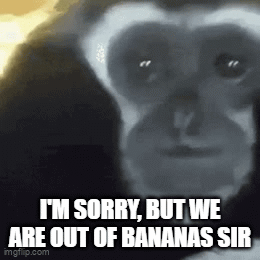 Sorry Sir - Imgflip
