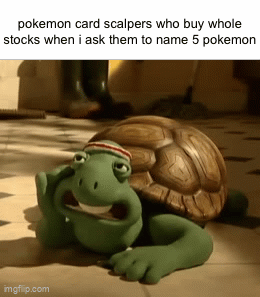 Thinking Turtle - Imgflip