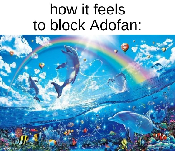 Happy dolphin rainbow - Imgflip