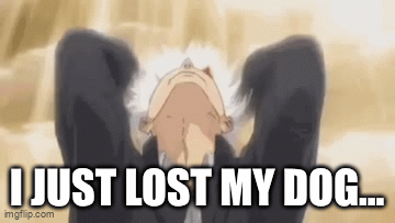 I JUST LOST MY DAWG - Imgflip