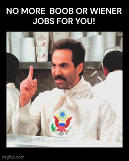 NO MORE BOOB OR WIENER JOBS - Imgflip
