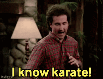 Perfect Strangers_Eyewitless Report_karate - Imgflip