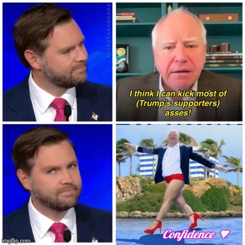 Tampon Tim thinks he can kick ass but JD Vance thinks otherwise - Imgflip