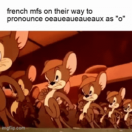 Please don't execute me for uncensored Fr*nch - Imgflip