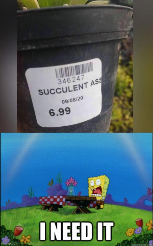 Please, I really do - Imgflip