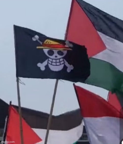 Someone brought the one piece flag to a Palestine protest - Imgflip