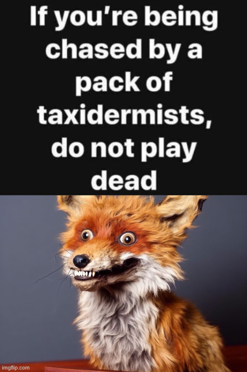 You will be stuffed - Imgflip