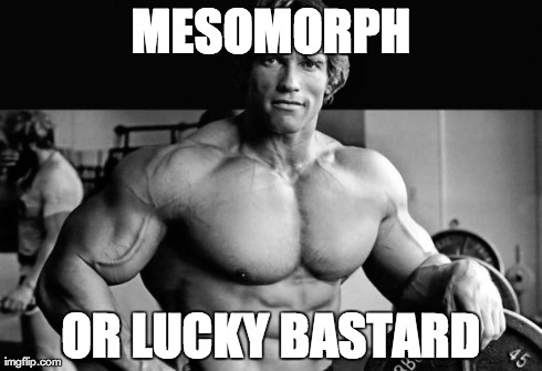 ArnoldLife - Imgflip