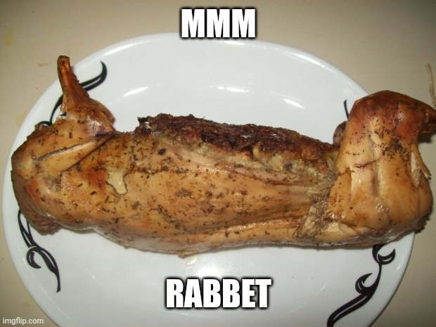 bunny kisses - Imgflip