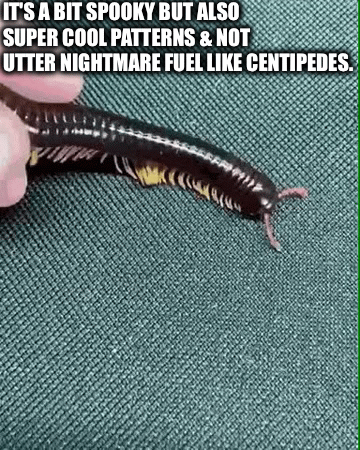 Creepy Yet Cool Patterns - Imgflip