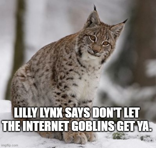 Lynx - Imgflip