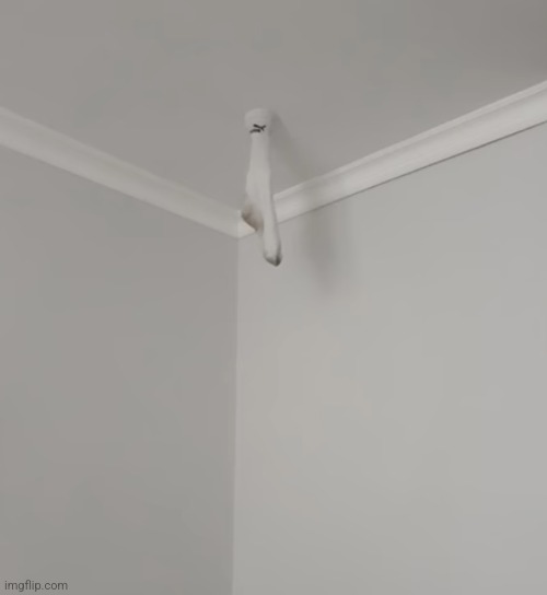 Sock left behind at hotel - Imgflip
