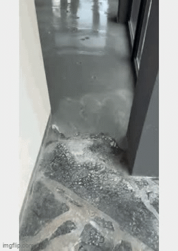 This Fresh Cement Needs My Personal Touch ! - Imgflip