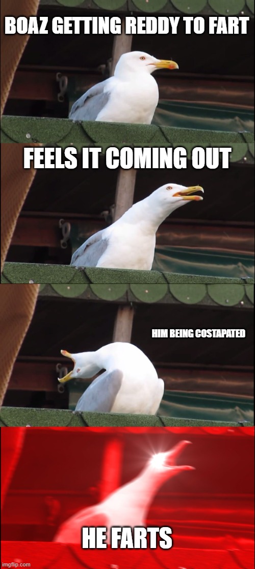 Inhaling Seagull Meme - Imgflip