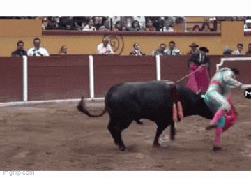 Bullfighter Deserved Some Karma - Imgflip