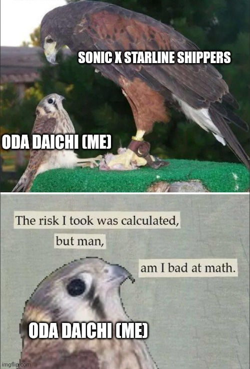 The Risk I took was calculated, but man, am I bad at Math - Imgflip